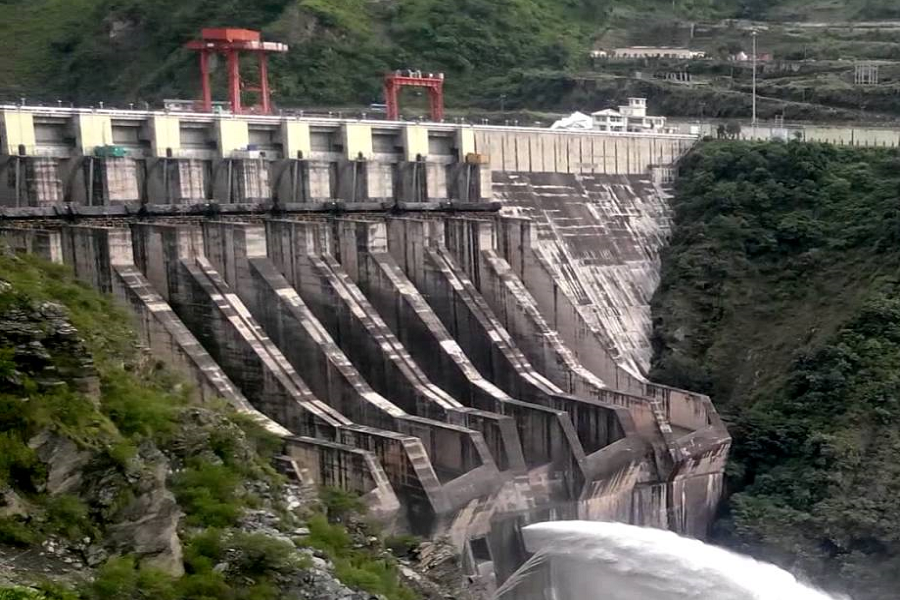 Chamera Projesi - AnelSis